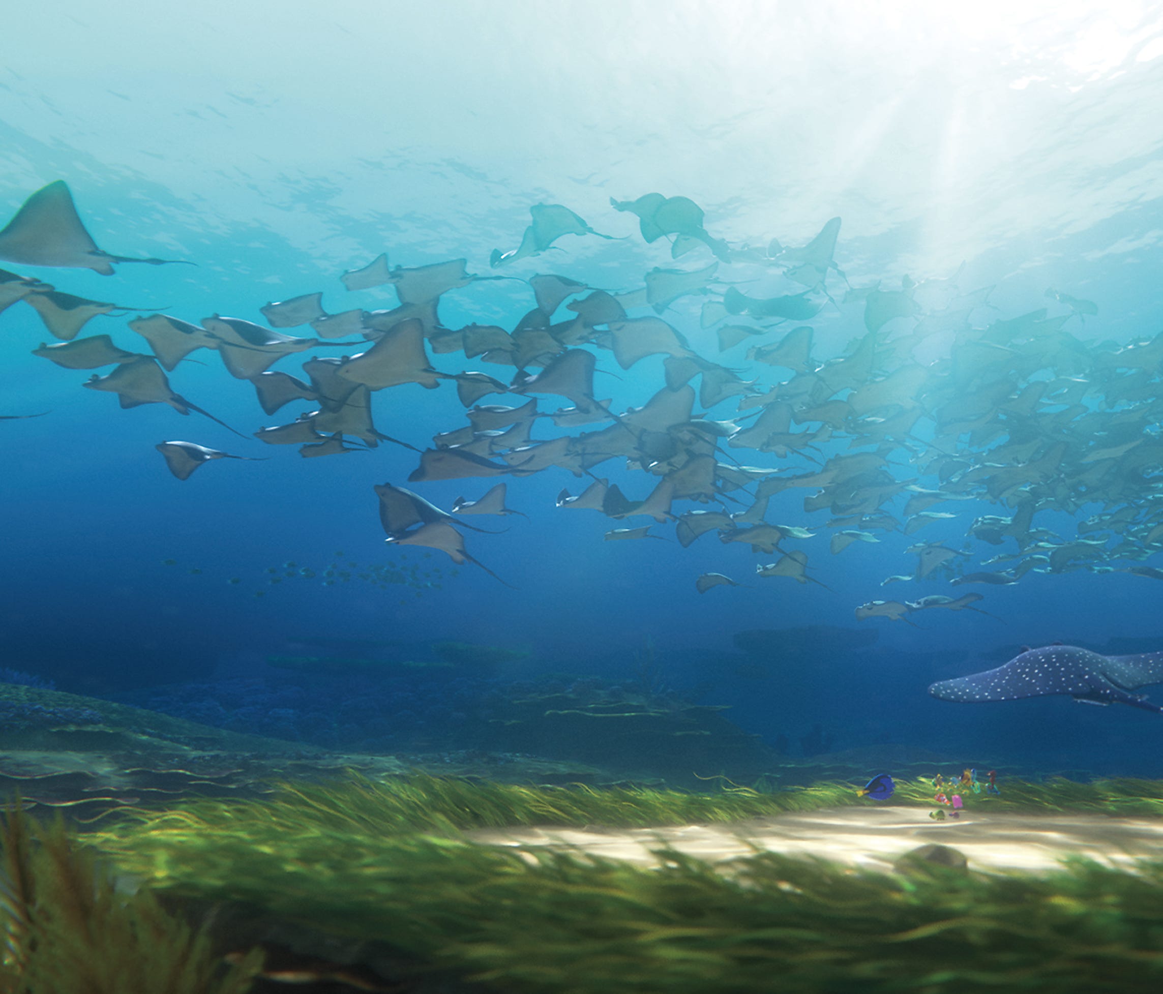 Baby Dory is just one of the secret stars of 'Finding Dory' | abc10.com