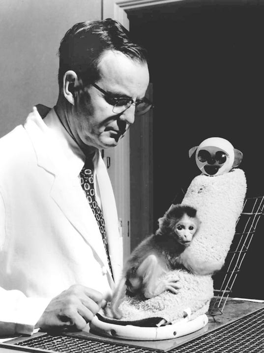 Letter: Experiments on monkeys are questionable