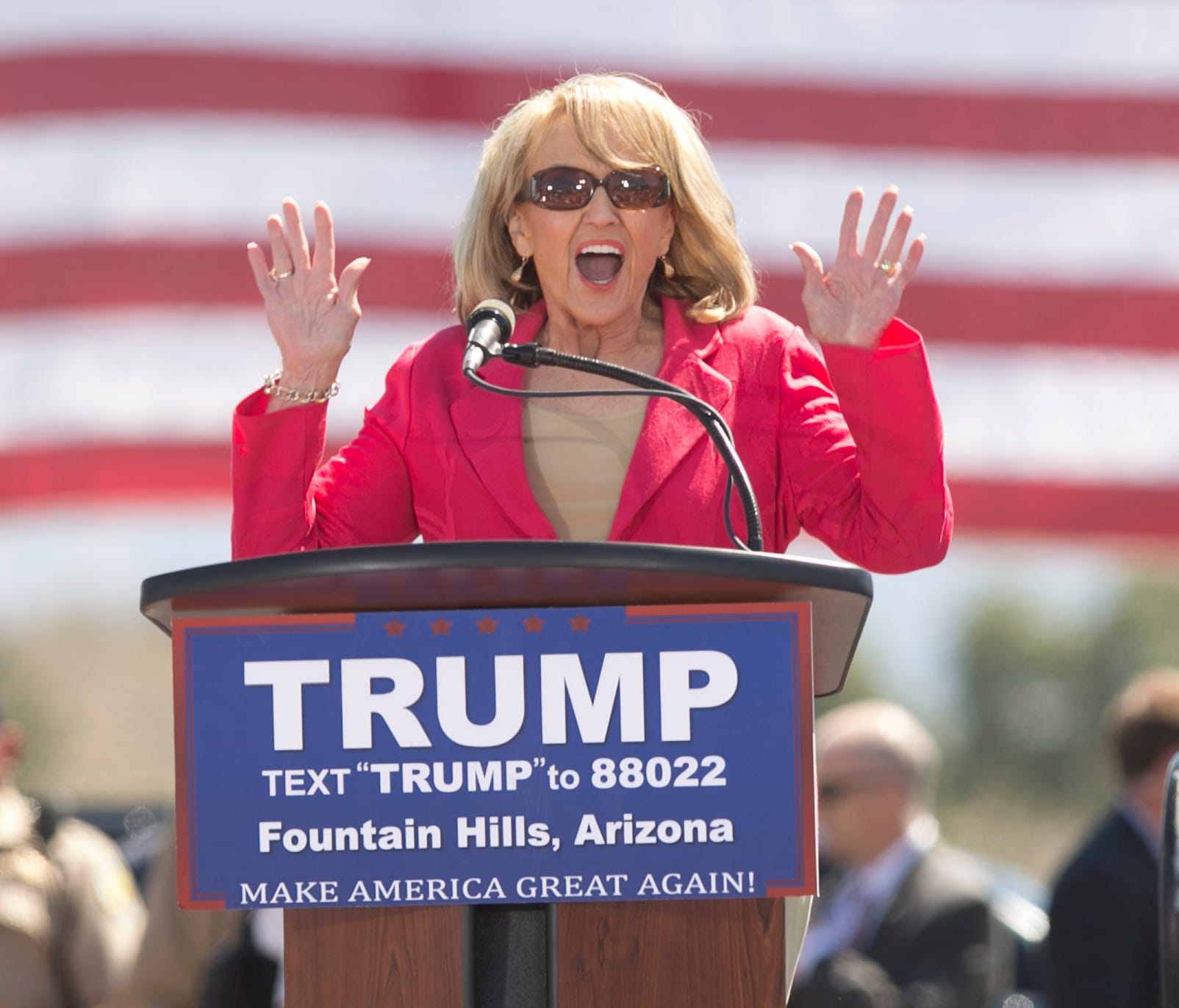 jan brewer
