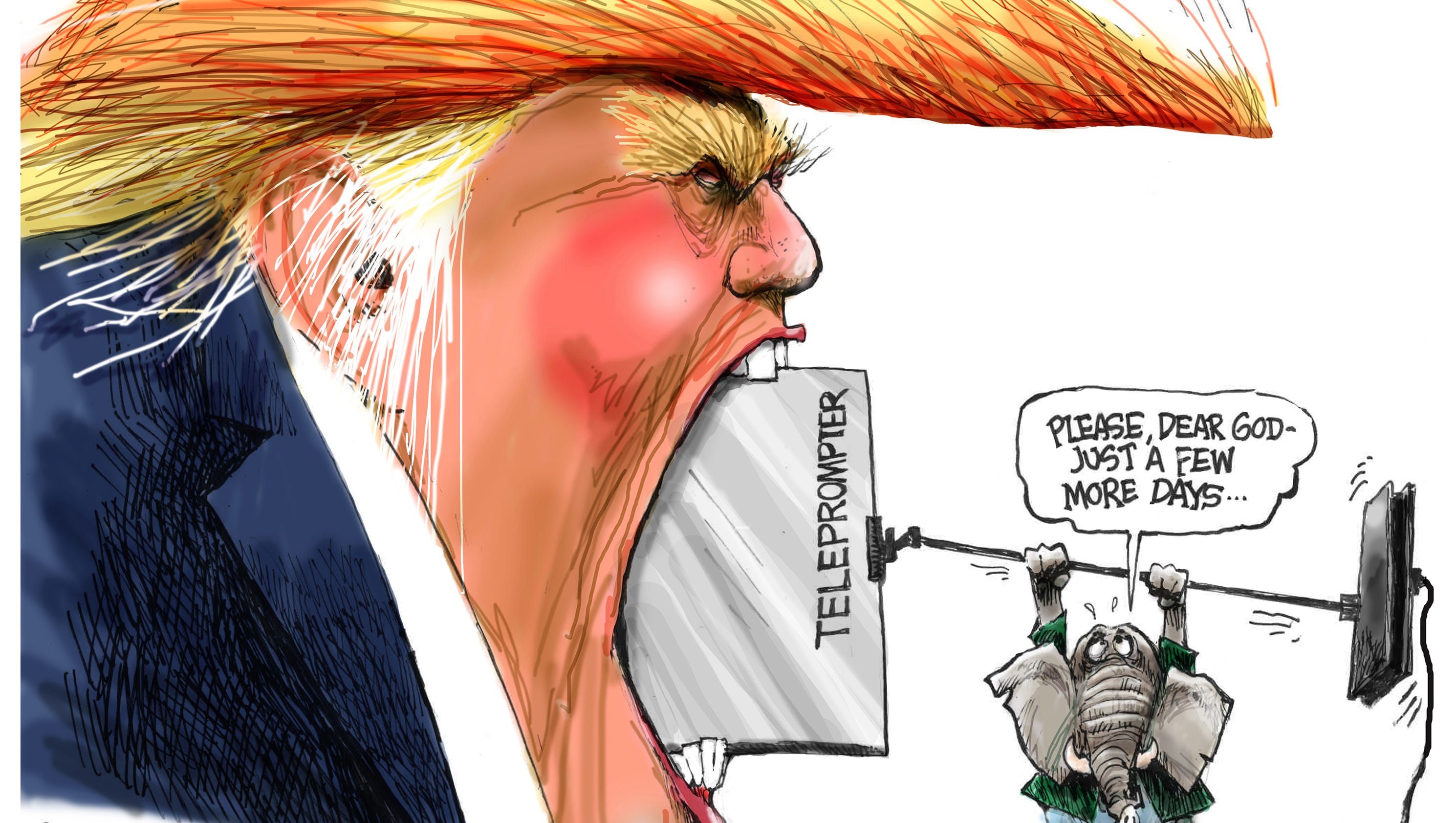 November political cartoons from the USA TODAY Network November political cartoons from the USA TODAY Network