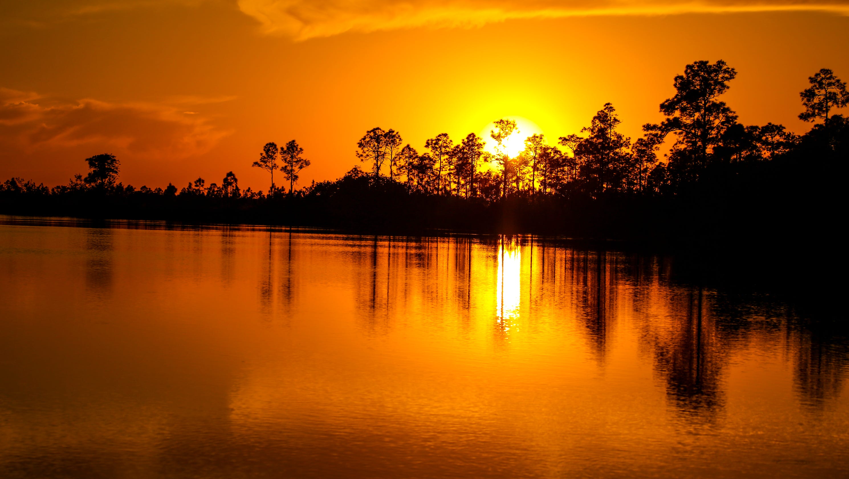 Everglades National Park: A visitor's guide