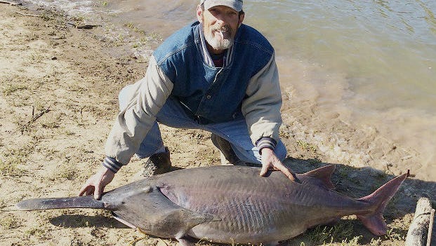 14 state record fish caught in 17 months