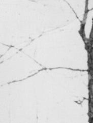 Patsy Cline: Country music remembers its darkest day