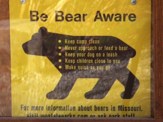 Missouri bears: Here's what you need to know about them
