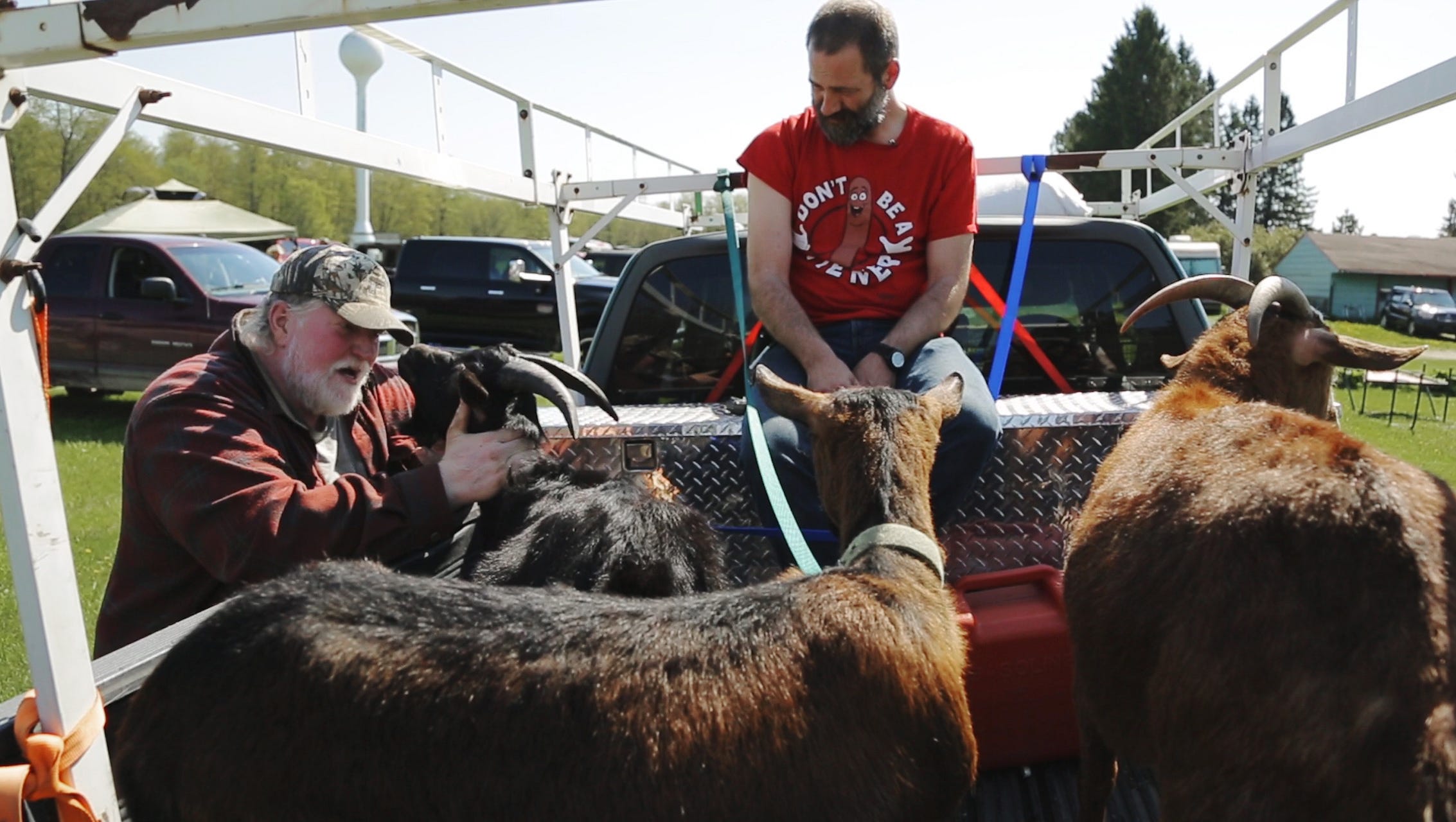 Quirky U.P. animal swap keeps rural traditions alive