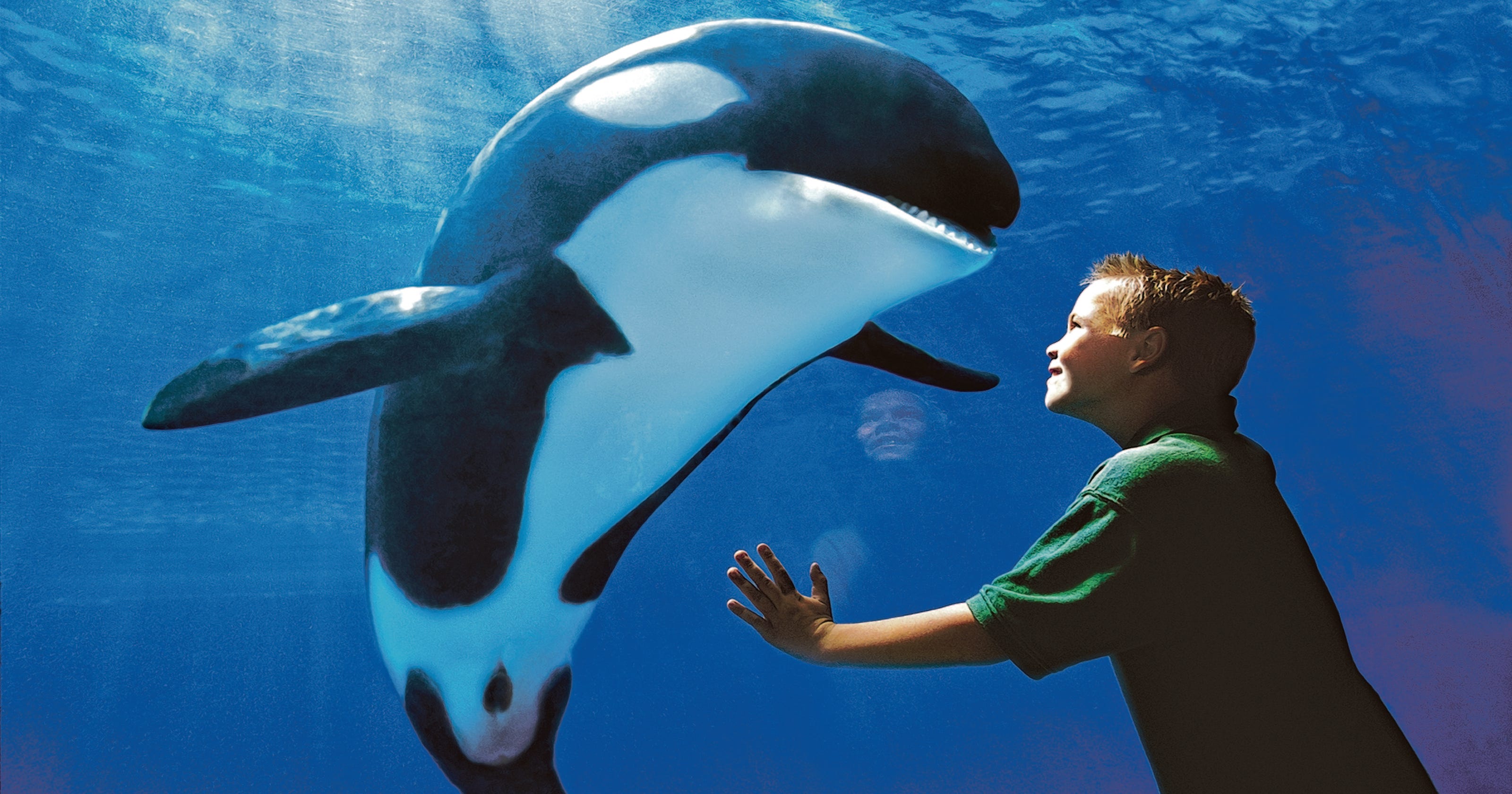 SeaWorld building huge new homes for killer whales