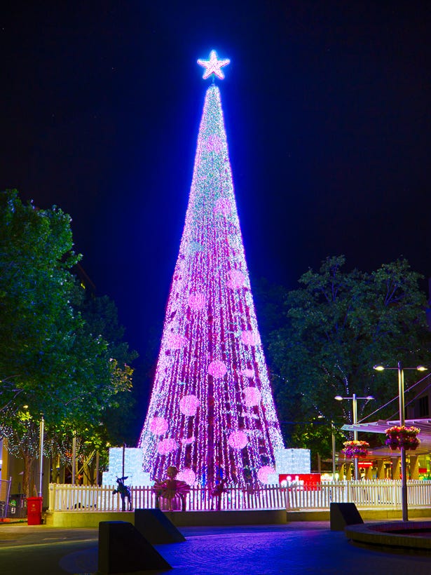 The Tallest Christmas Tree In The World