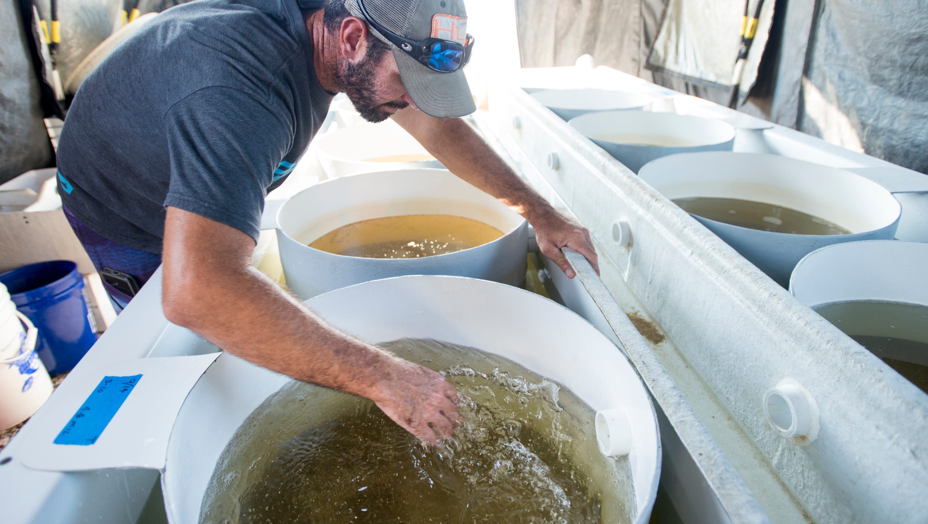 Pensacola oyster farmer's projects lets kids raise baby oysters