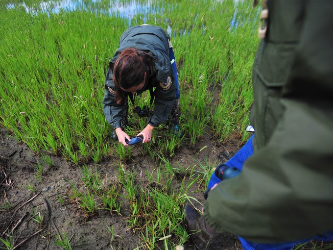 Montana FIsh Wildlife and Parks Game Warden Kqyn Kuka