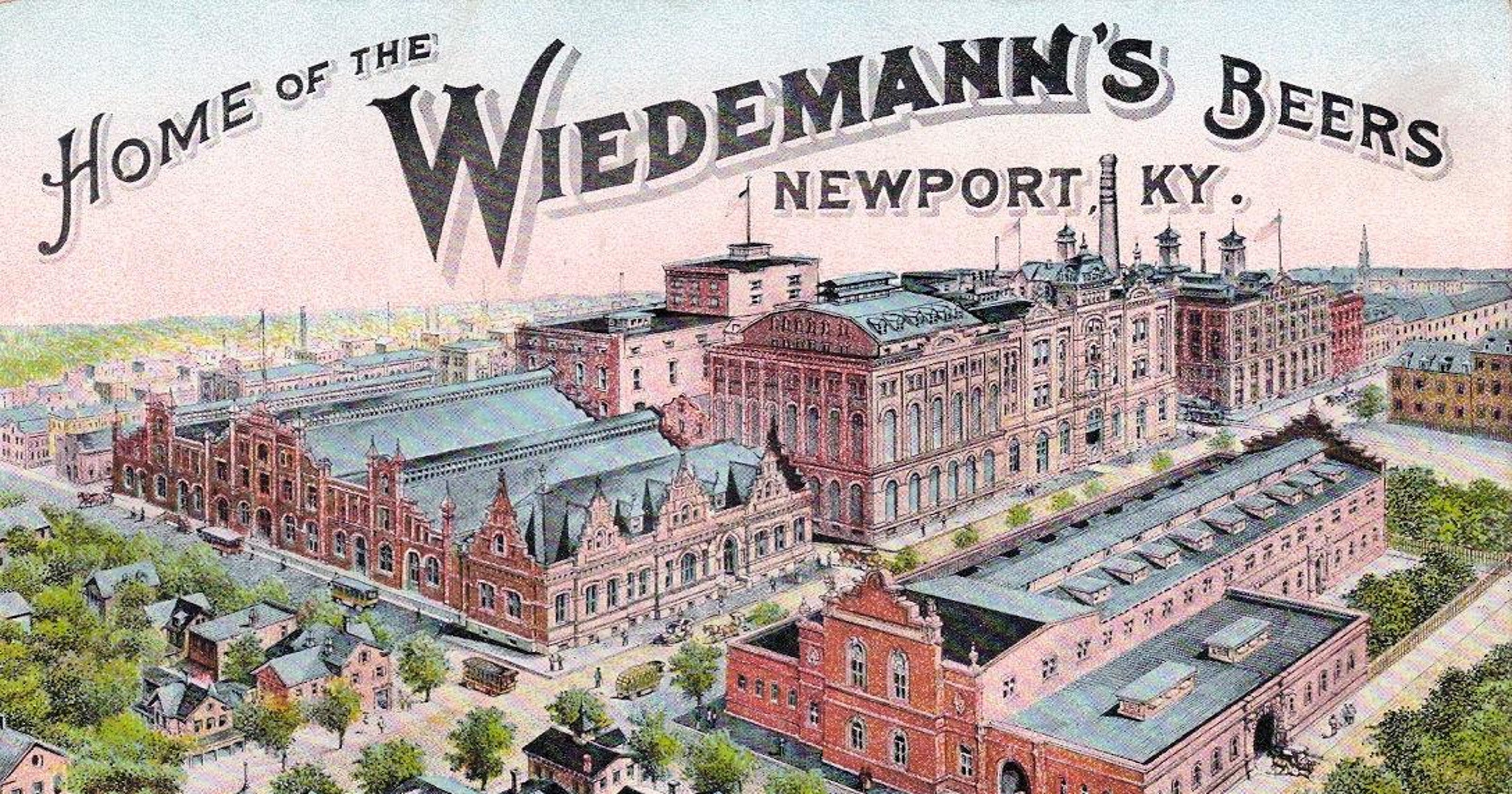 Wiedemann brewery: Iconic brand back with beer garden