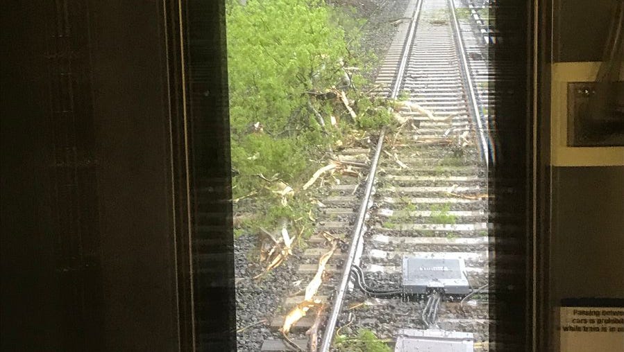 Metro-North Harlem Line back on schedule after train hits tree