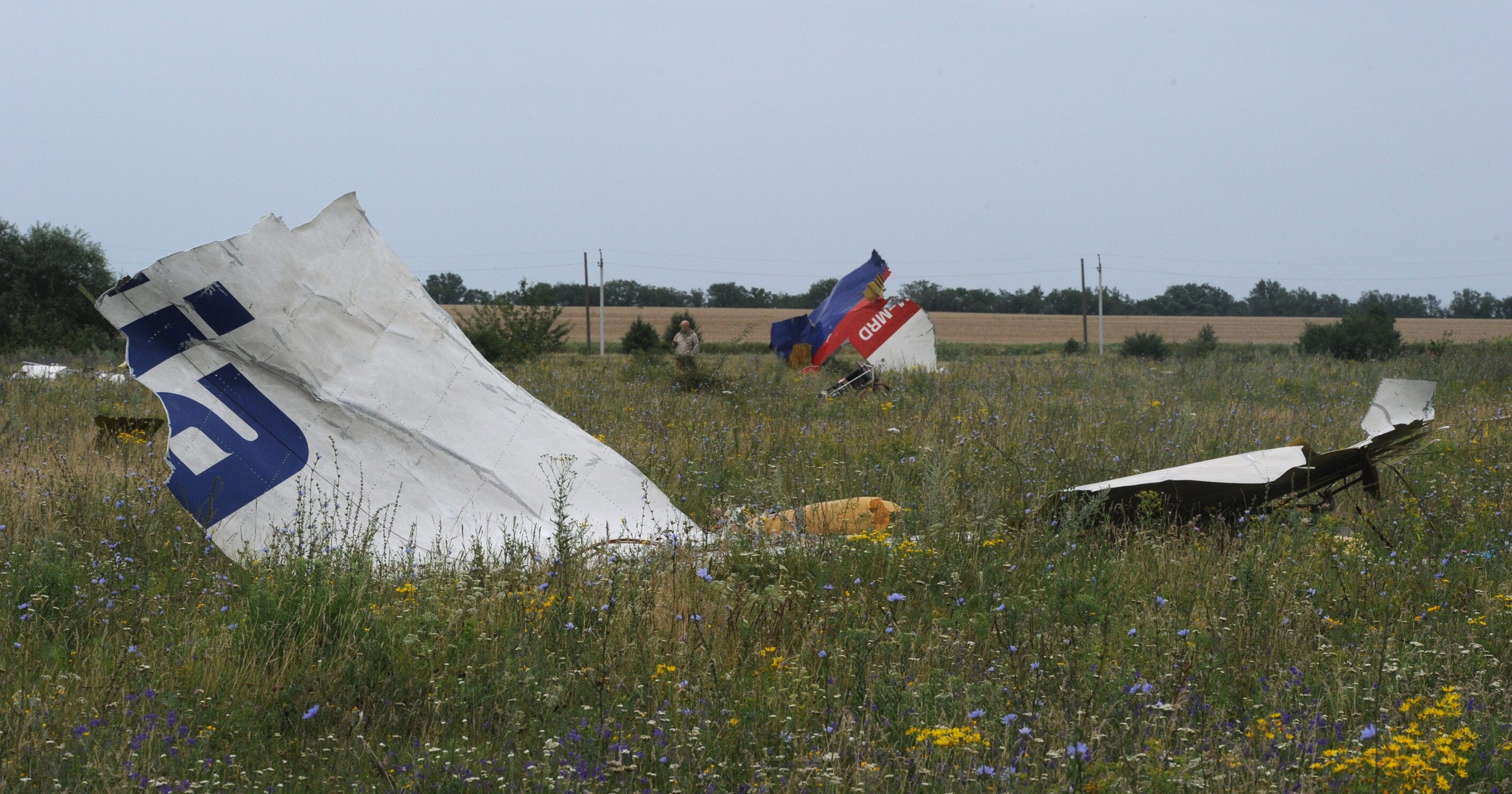 Malaysia Airlines Flight 17 crash: What we know
