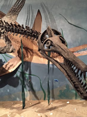 Dinosaurs, the Bible and a Glendive museum