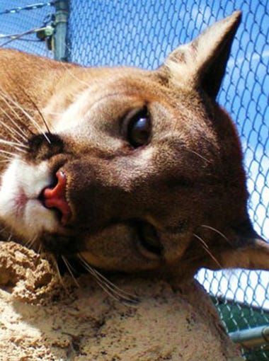 Best things to do in Prescott, AZ