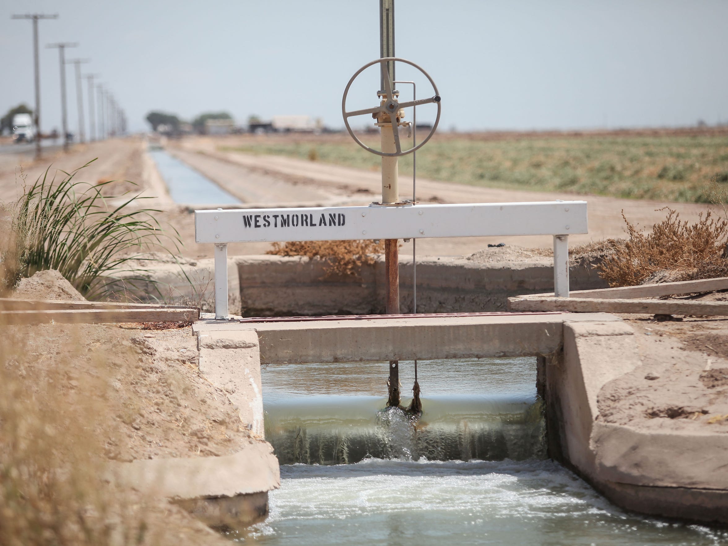 Why do millions in public money keep flowing to a private consultant?