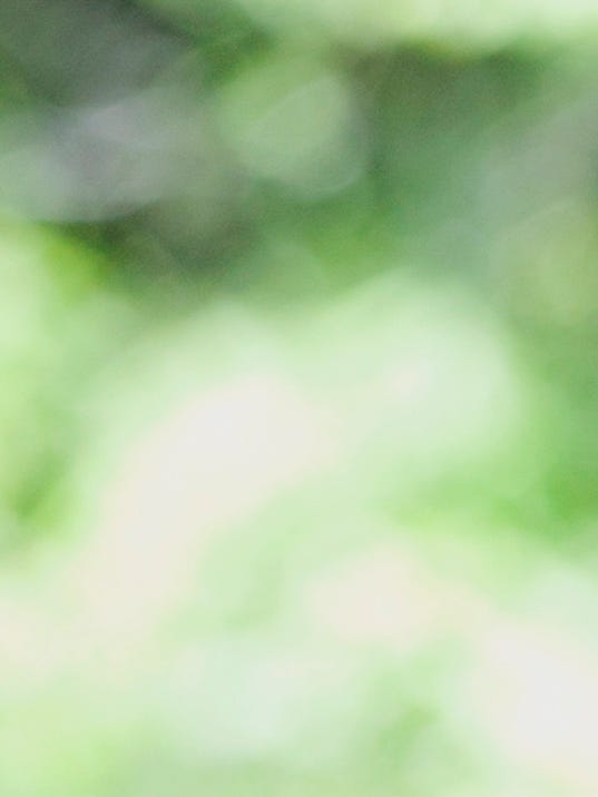 Autopsy shows 'Buckwild' star Shain Gandee's death was accidental