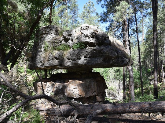 Arizona hikes: Wildcat Spring and Pivot Rock Canyon