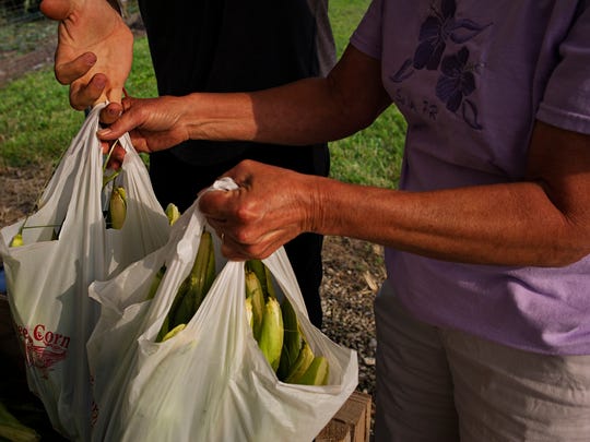 Iowa sweet corn for July 4th: 2018 edition