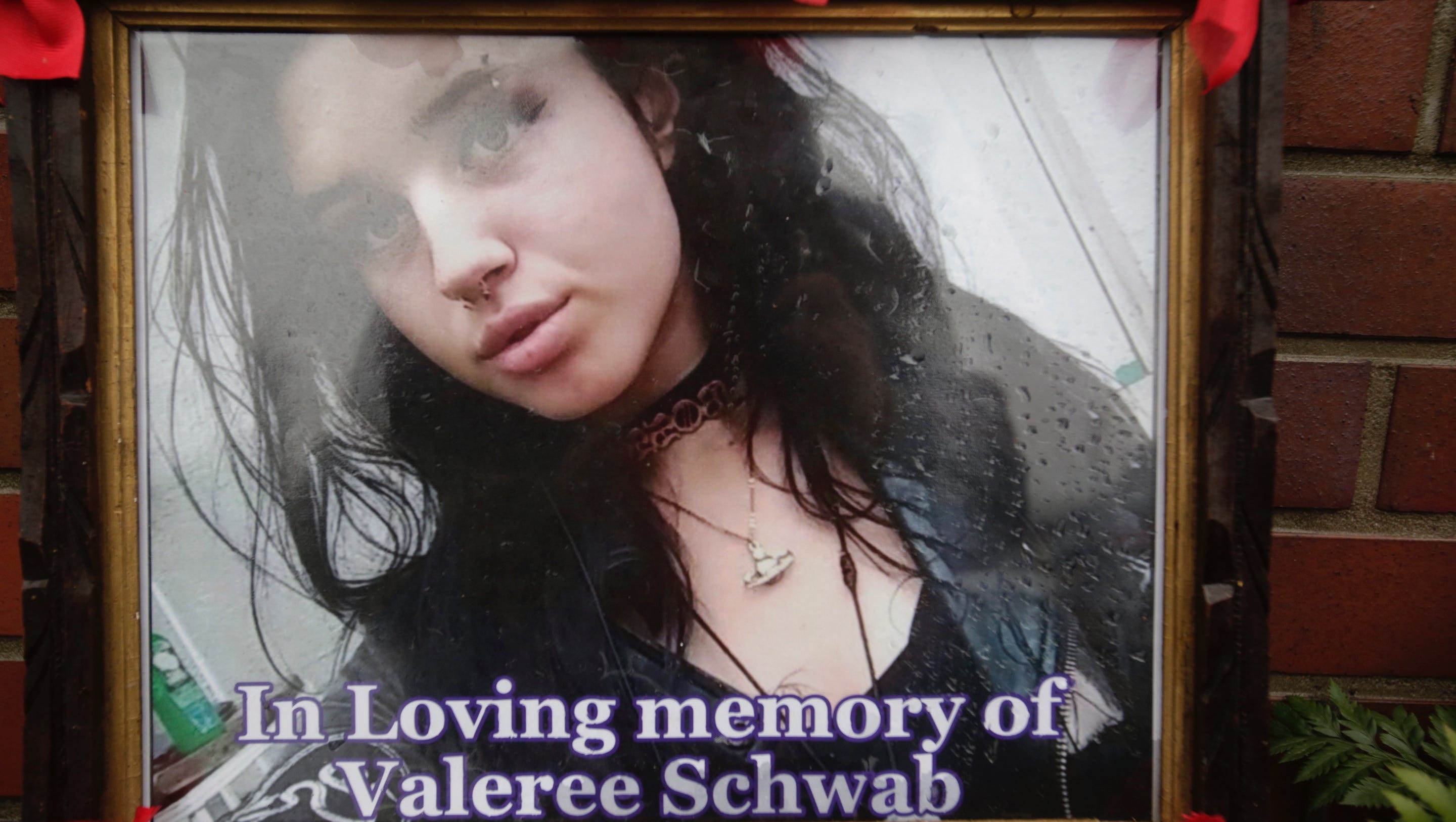Valaree Schwab: New details in New Rochelle teen's stabbing death