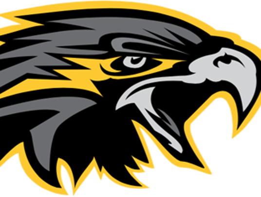 Ung Nighthawks Logo