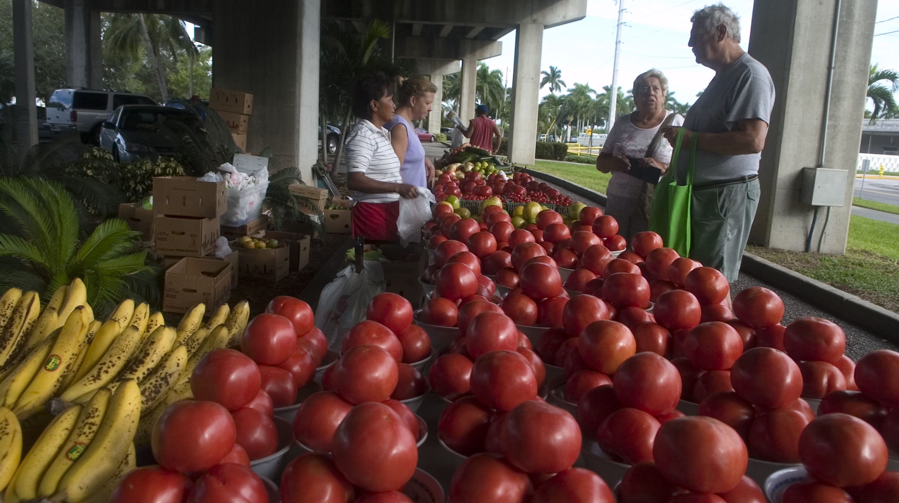 farmersmarket.jpg?width=3072&height=1721&fit=crop&format=pjpg&auto=webp