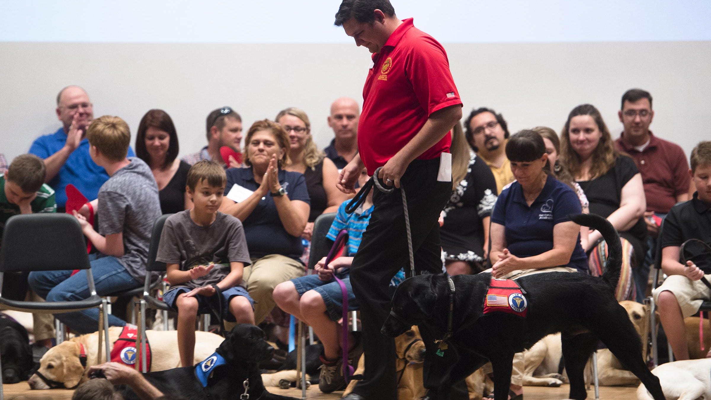 Service dogs pave way for recovery