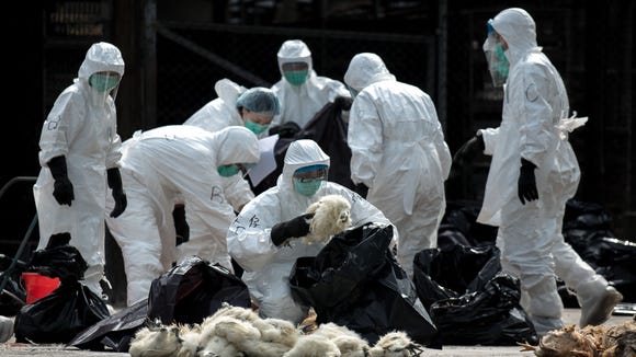 Data analysis allows researchers to predict disease outbreaks