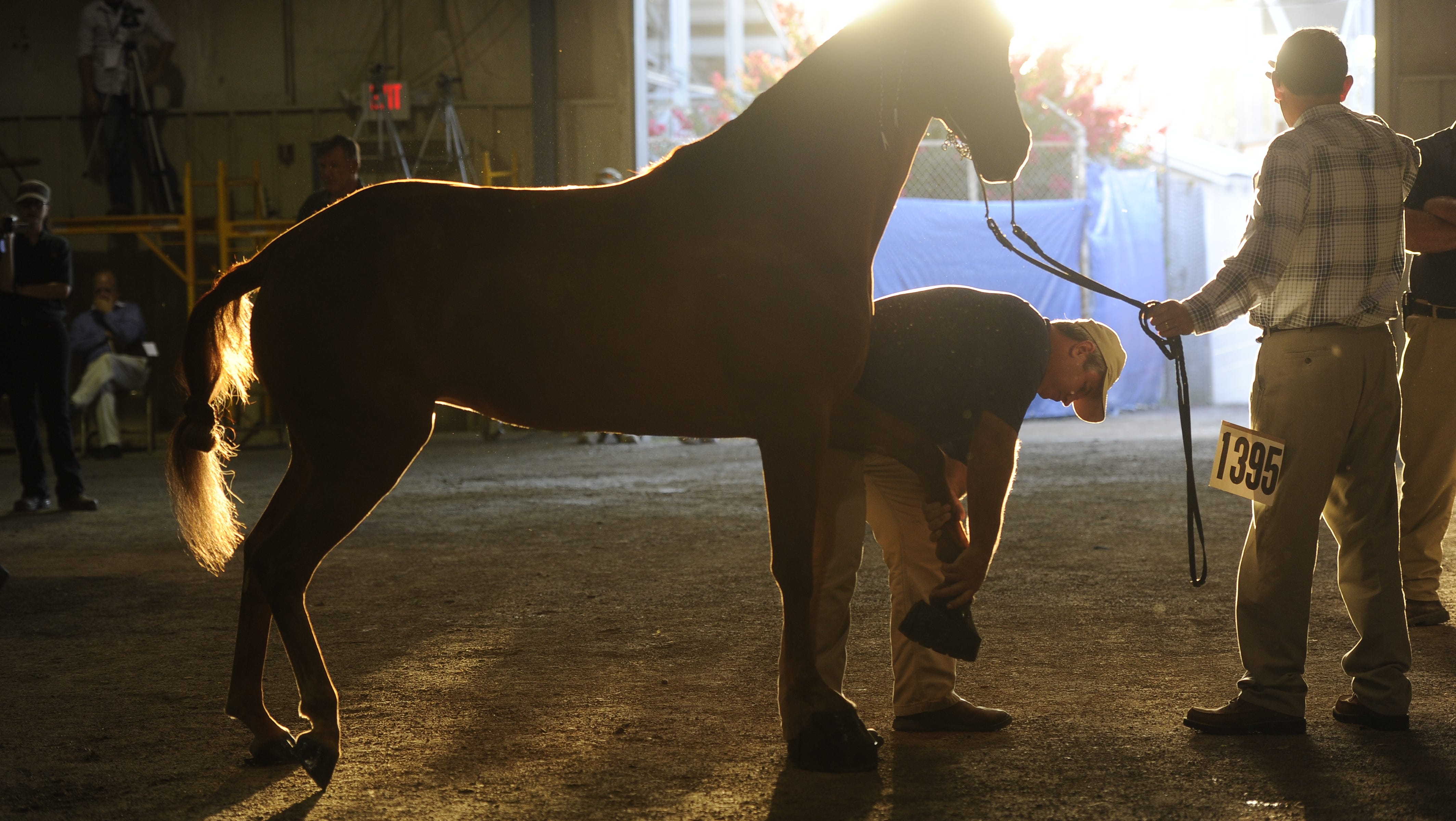 Presley seeks to revoke walking horse contest trophy