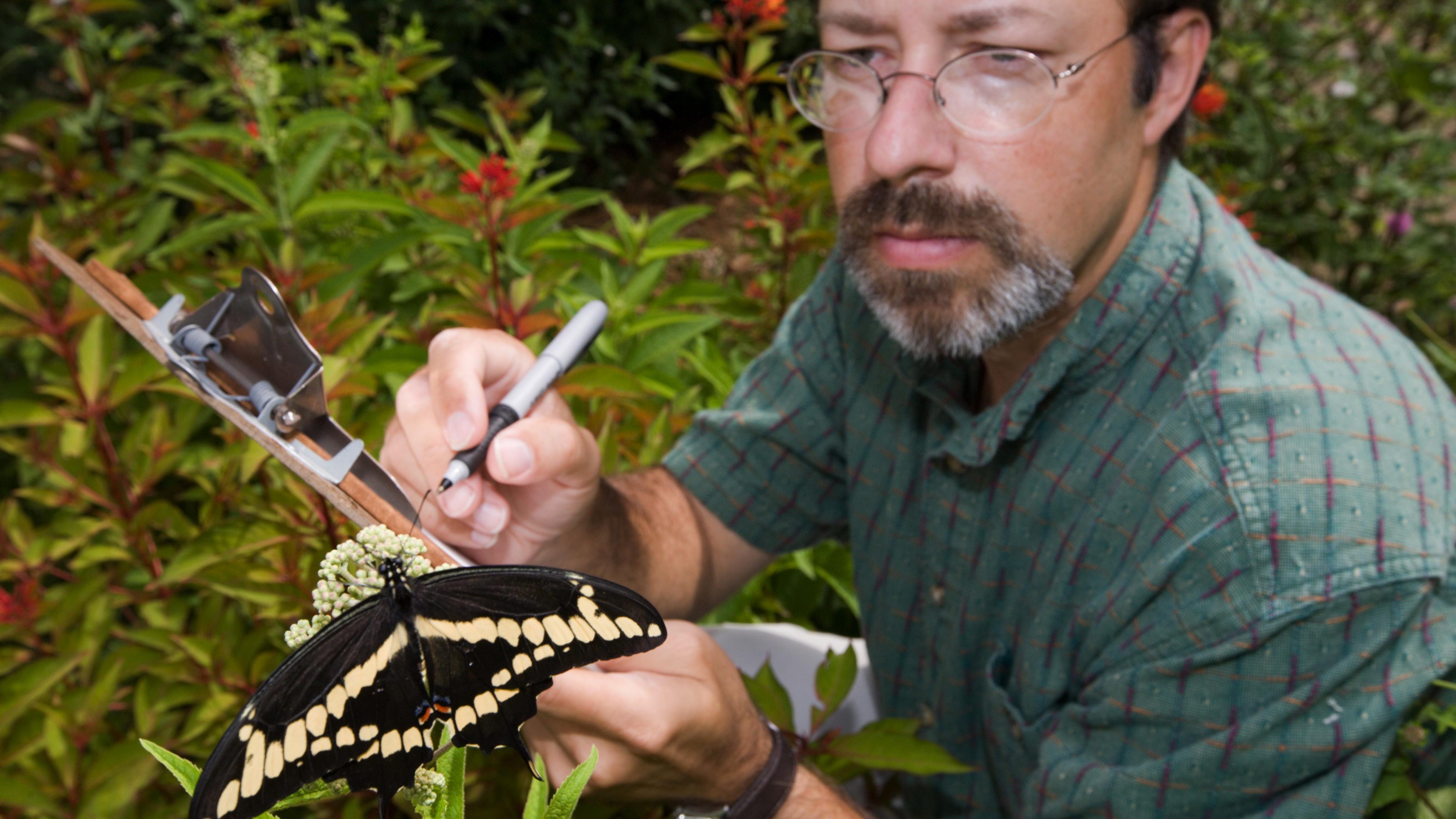 New kids' books from entomologist encourage budding bug enthusiasts
