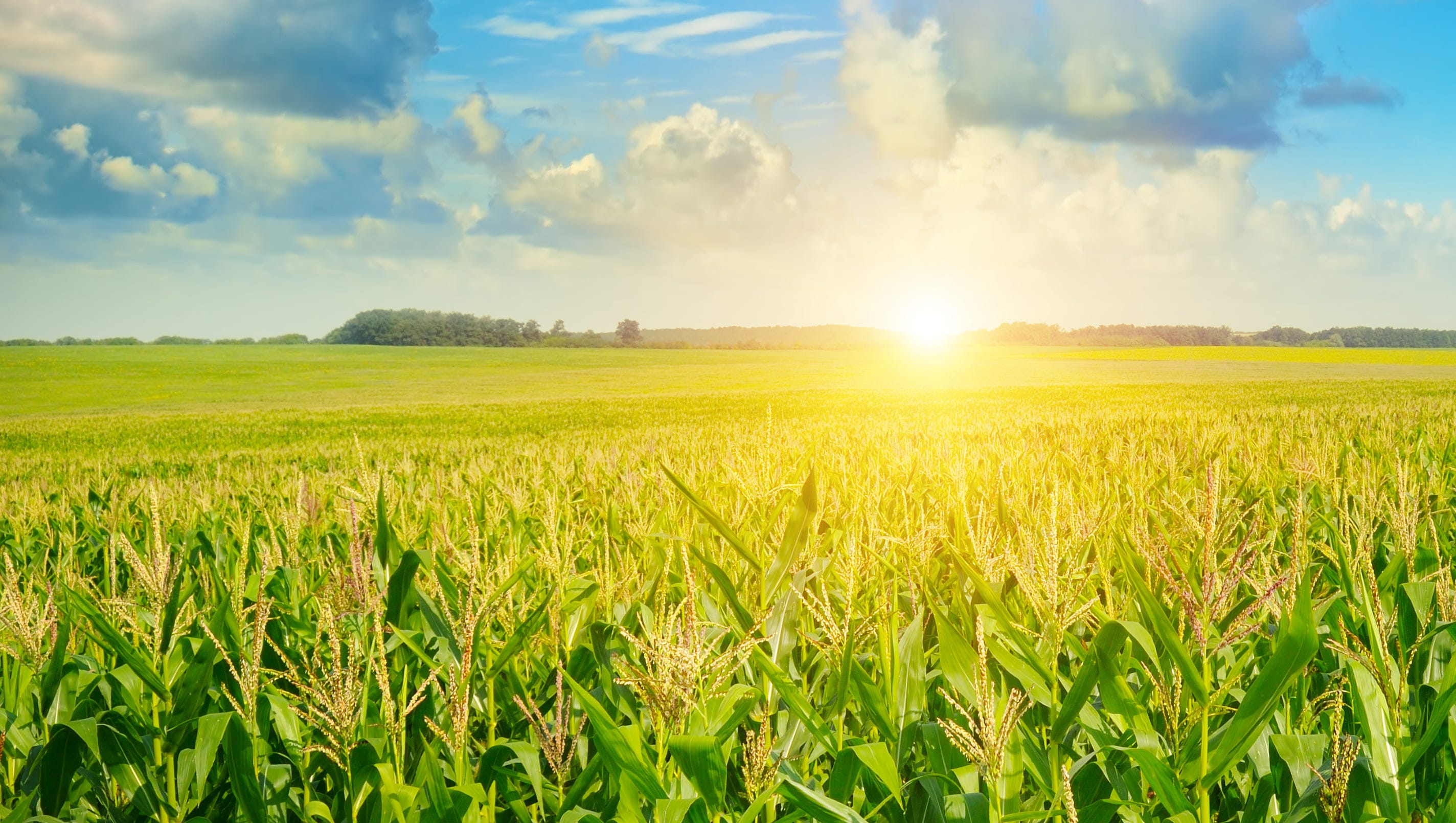 Family farms get Hoosier Homestead Awards