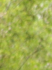 'Buckwild' gets a bit crazy, but MTV says it's got heart