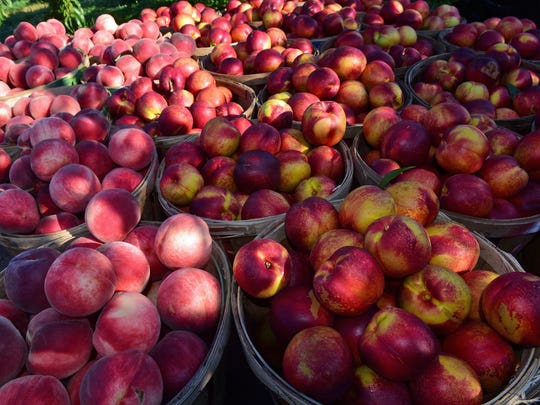 Get your peaches now, before it's too late