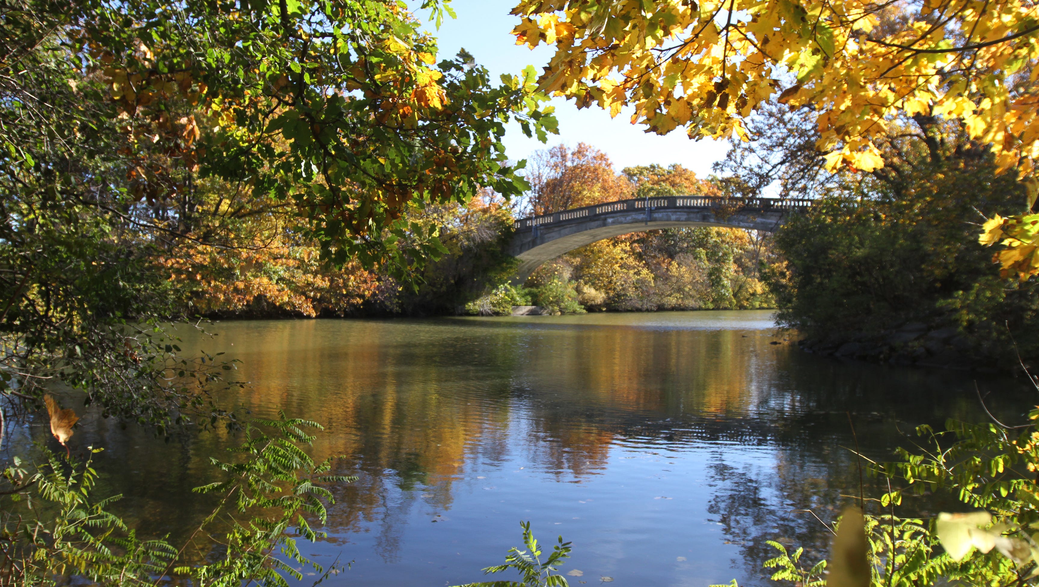 Upstate NY fall colors guide: Where and when to go