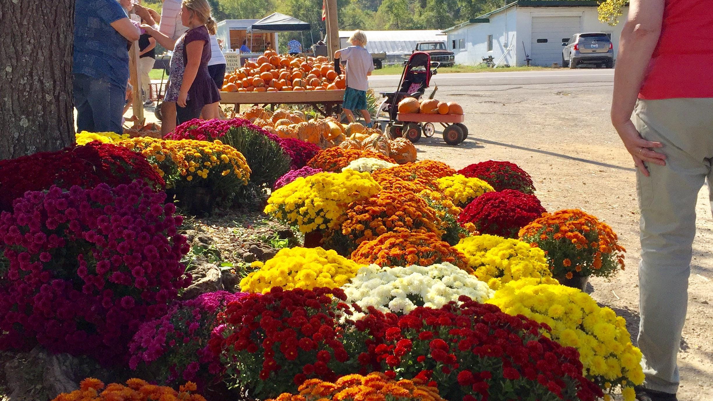 Cincinnati weather: Fall weather has finally arrived for the weekend