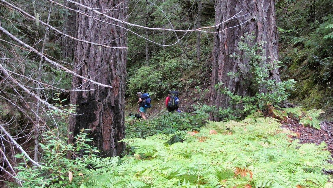 Wild Rogue backpacking route opens in Southern Oregon