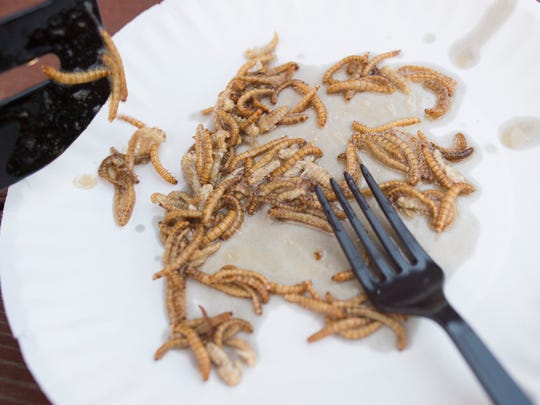 Laxen: How to eat fried worms