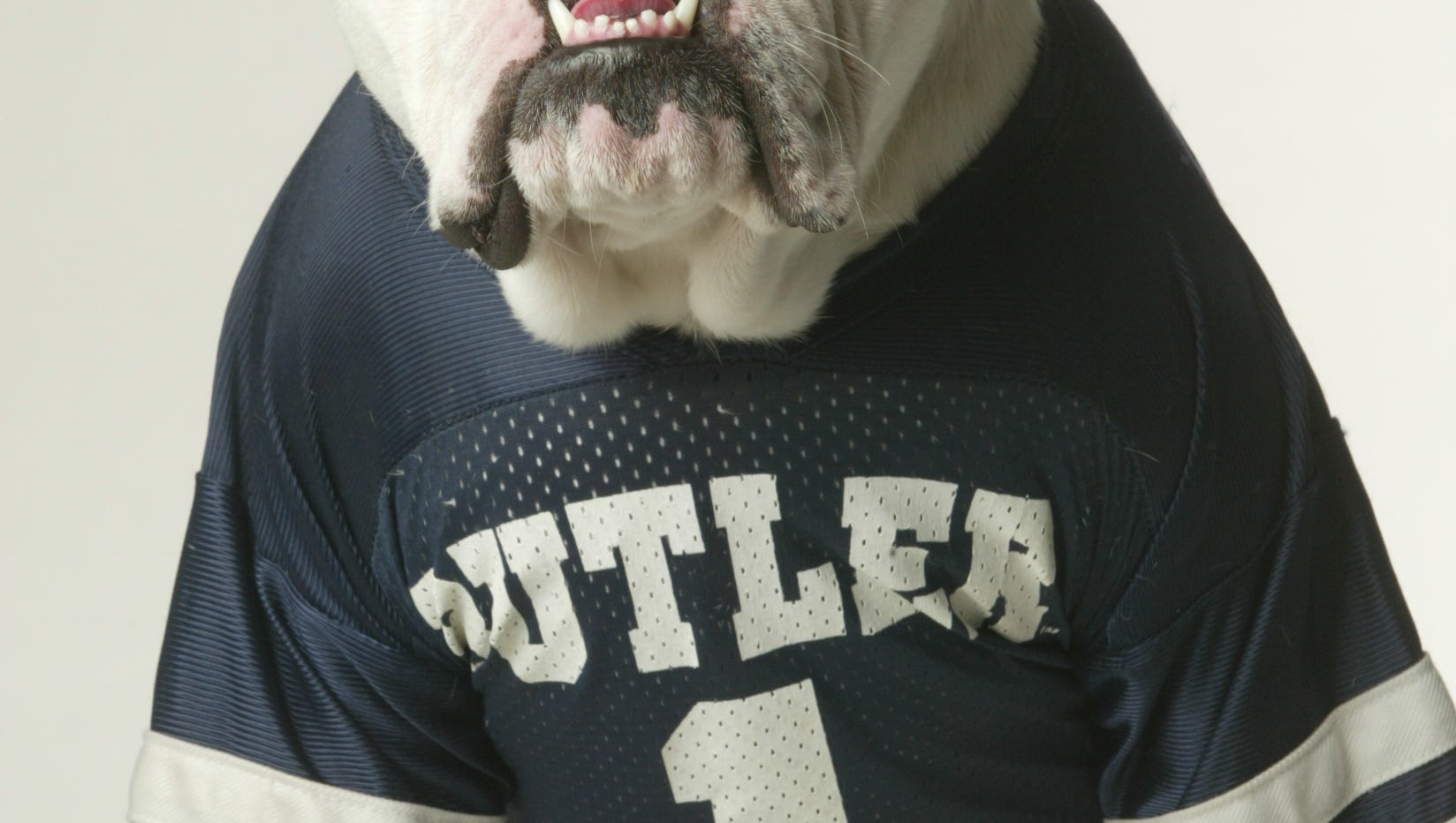 Butler's original live mascot Blue I dies