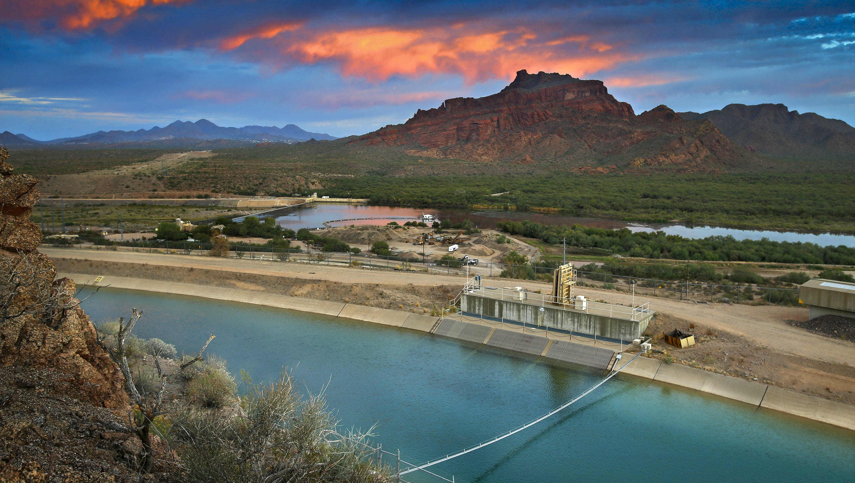 What happens to the fish when canals are drained?