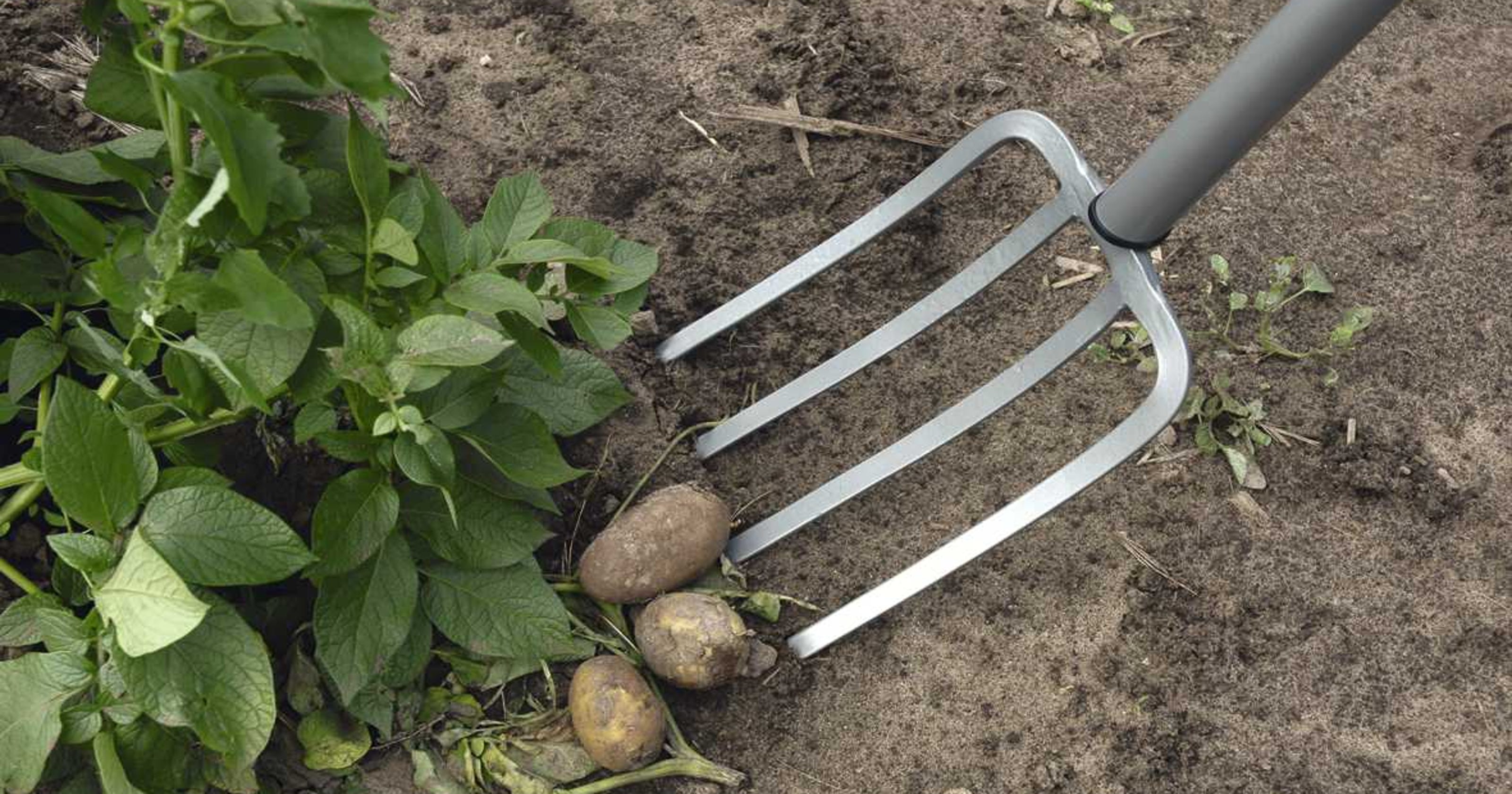 Keep tools sharp: They’ll last longer and you’ll be safer