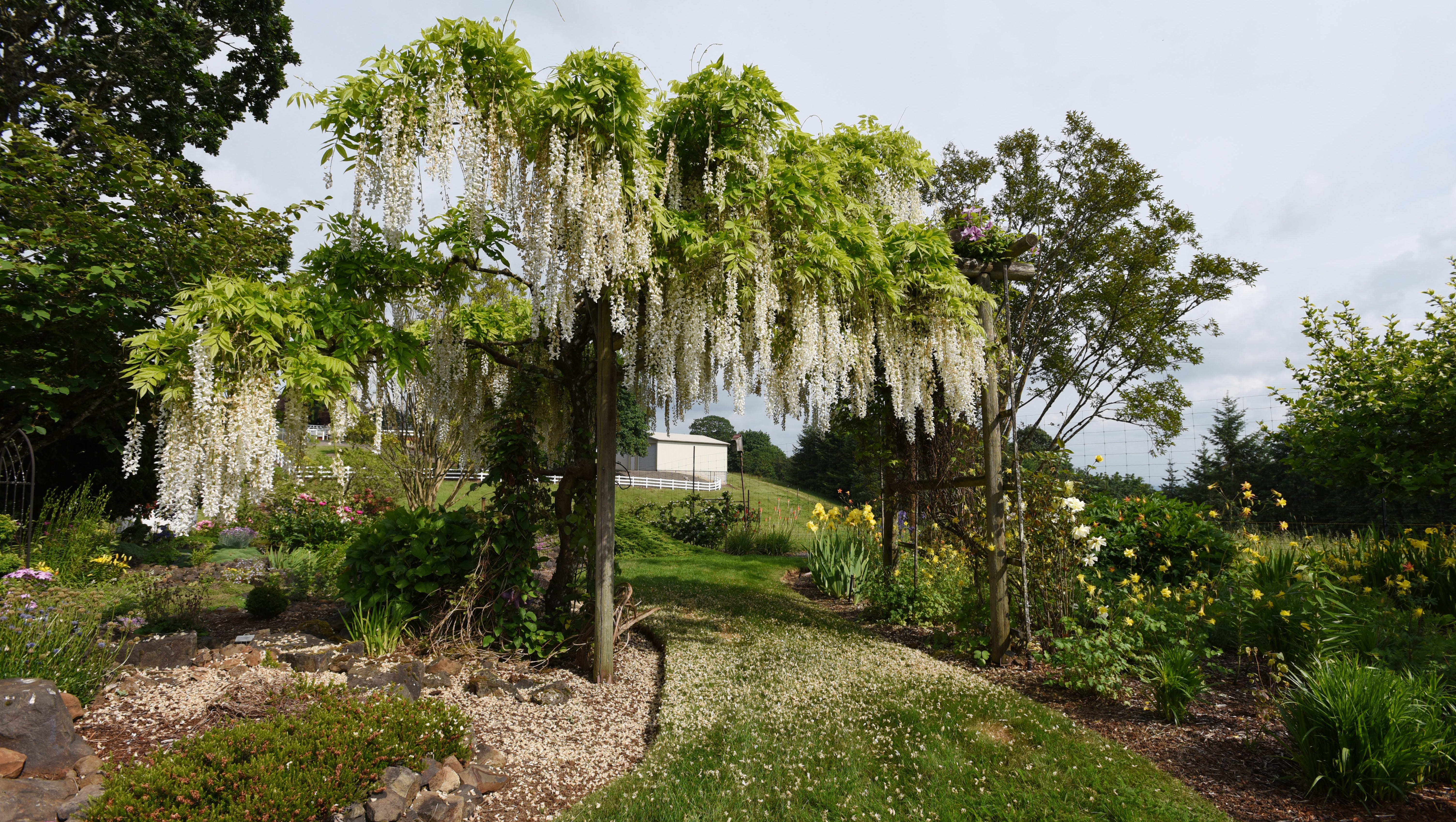 Garden south of Salem blooming with inspiration