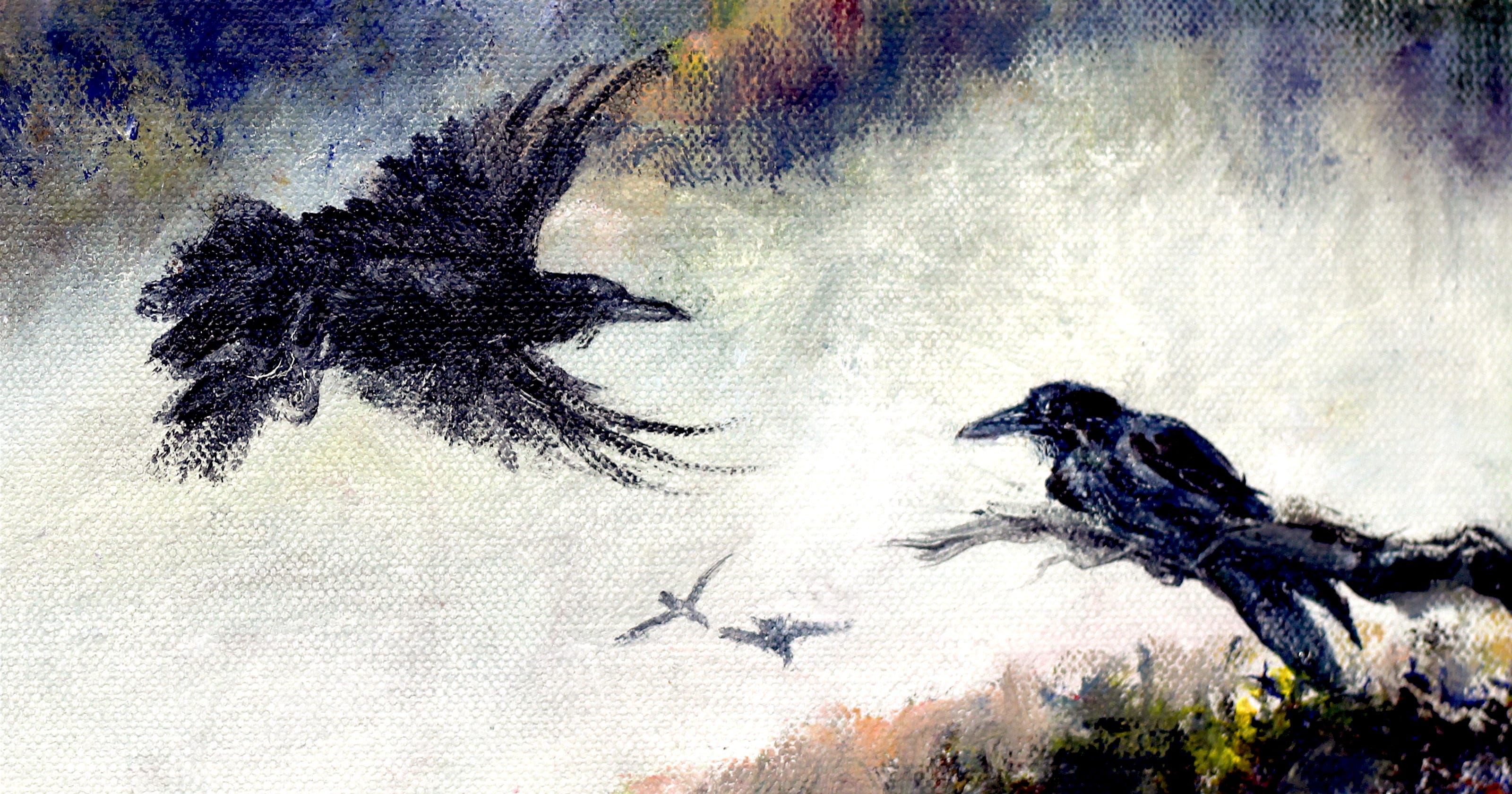 Ravens should not be confused with crows in the high elevations of WNC