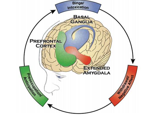 Why some use drugs, steal: How addiction works