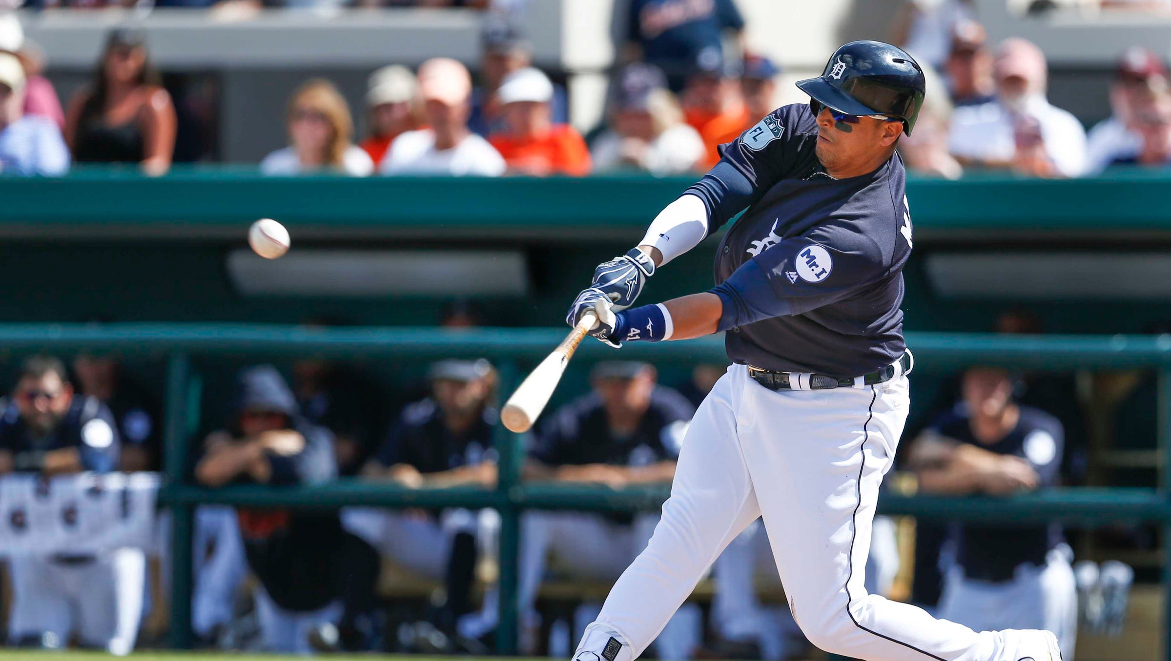 Meet the Tigers: Here's the 25-man Opening Day roster