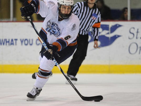 Indianapolis will have 2 hockey teams