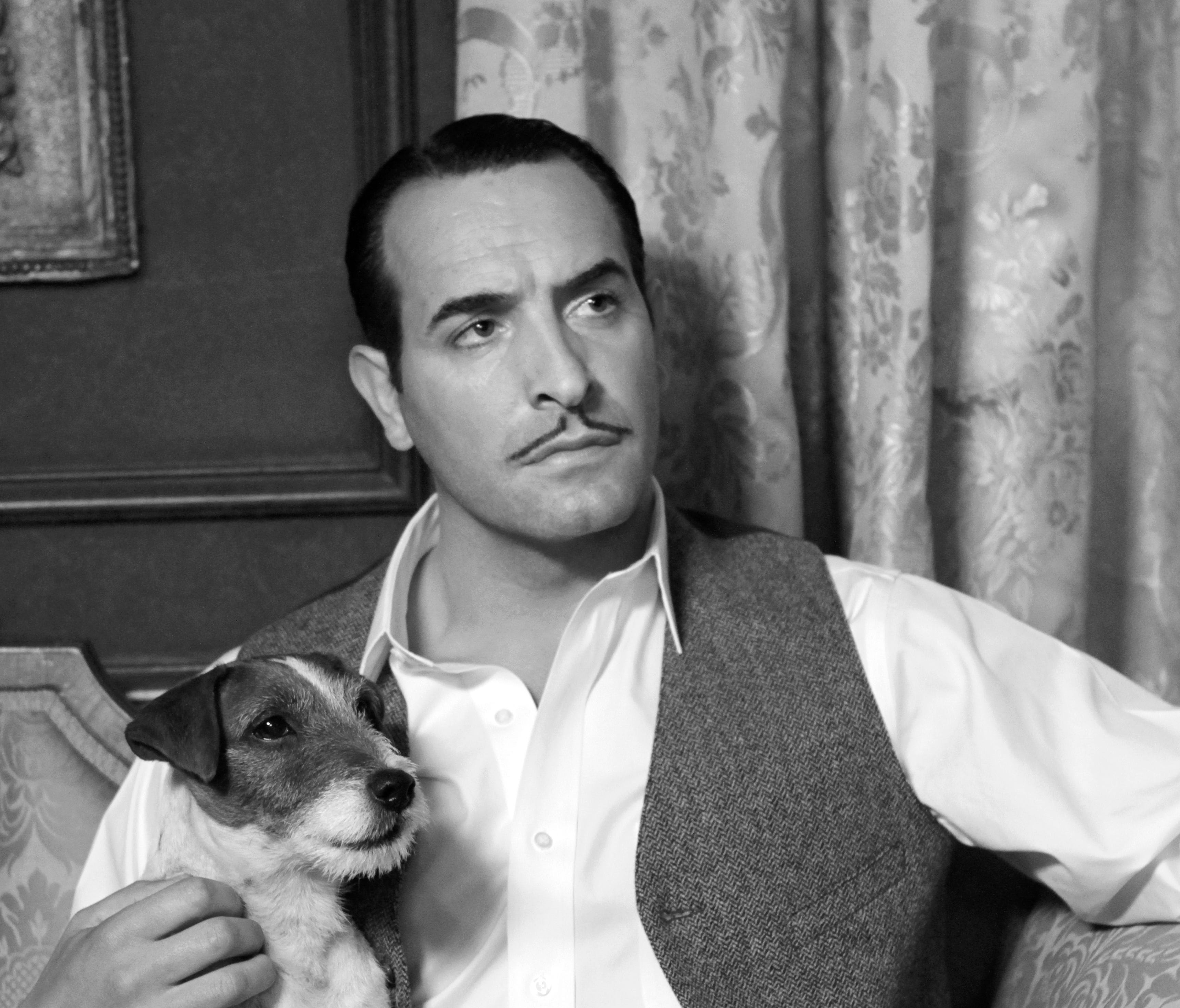 The definitive ranking of movie dogs | 9news.com