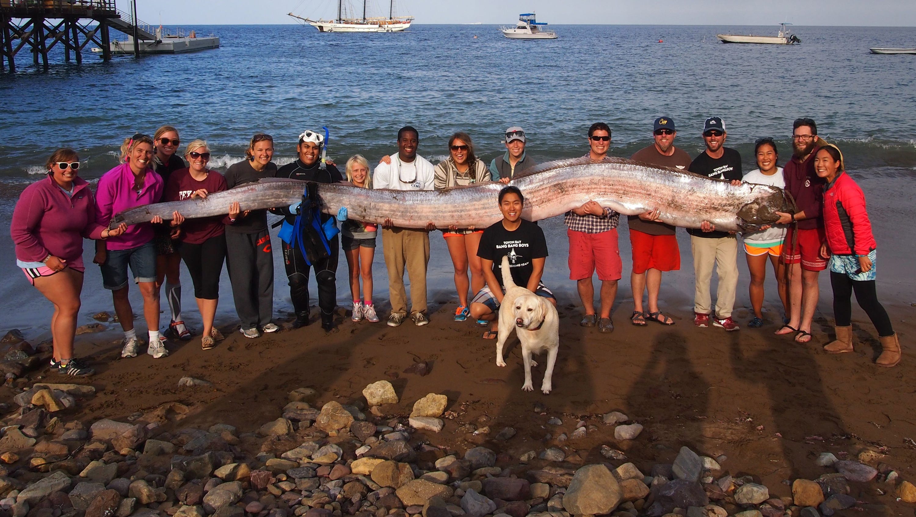 18-foot-long sea creature found off Calif. coast