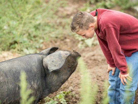 Today's consumers are hog wild for heritage pork