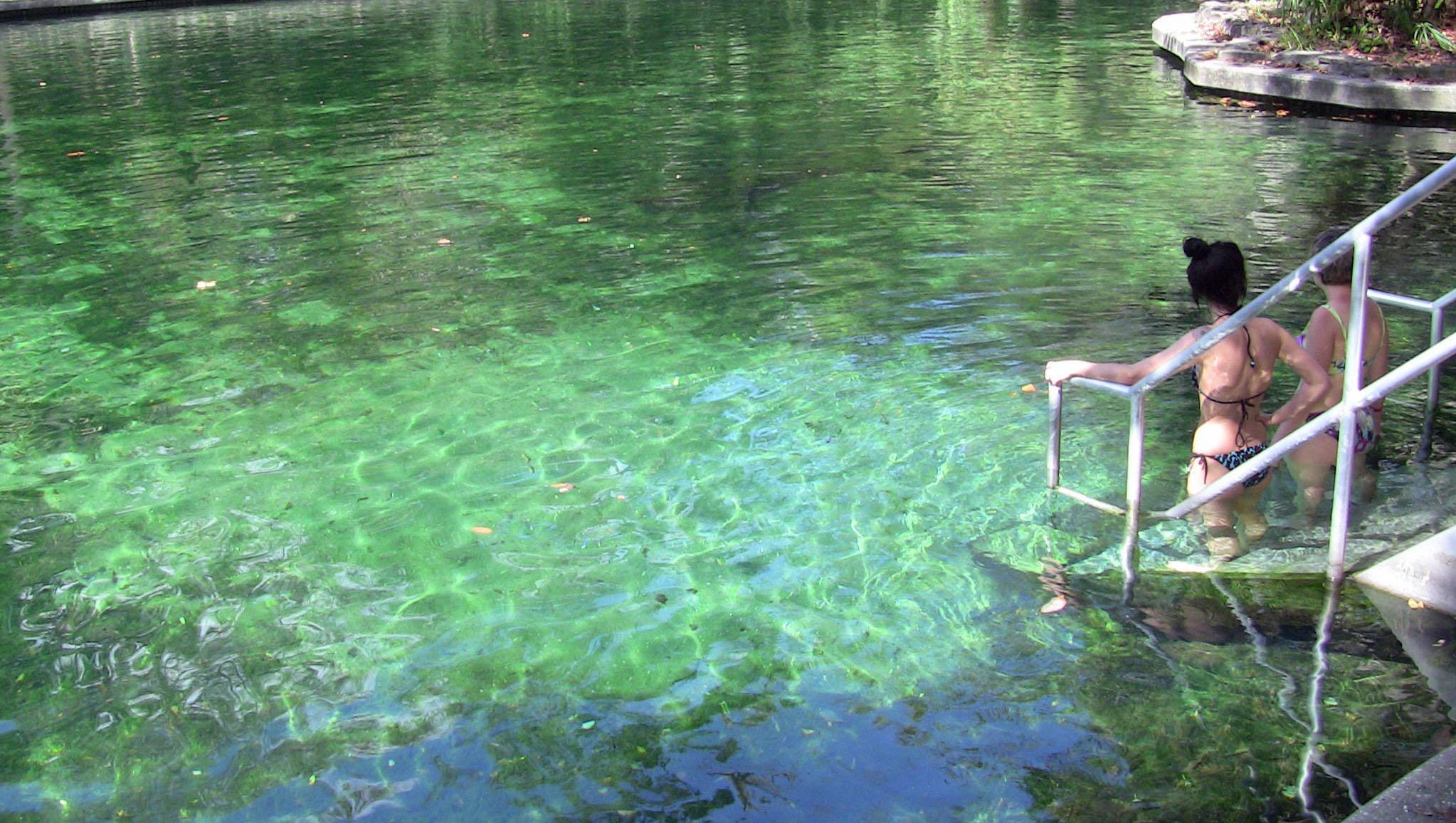 Authentic Florida: 15 Florida springs for a summer cool down