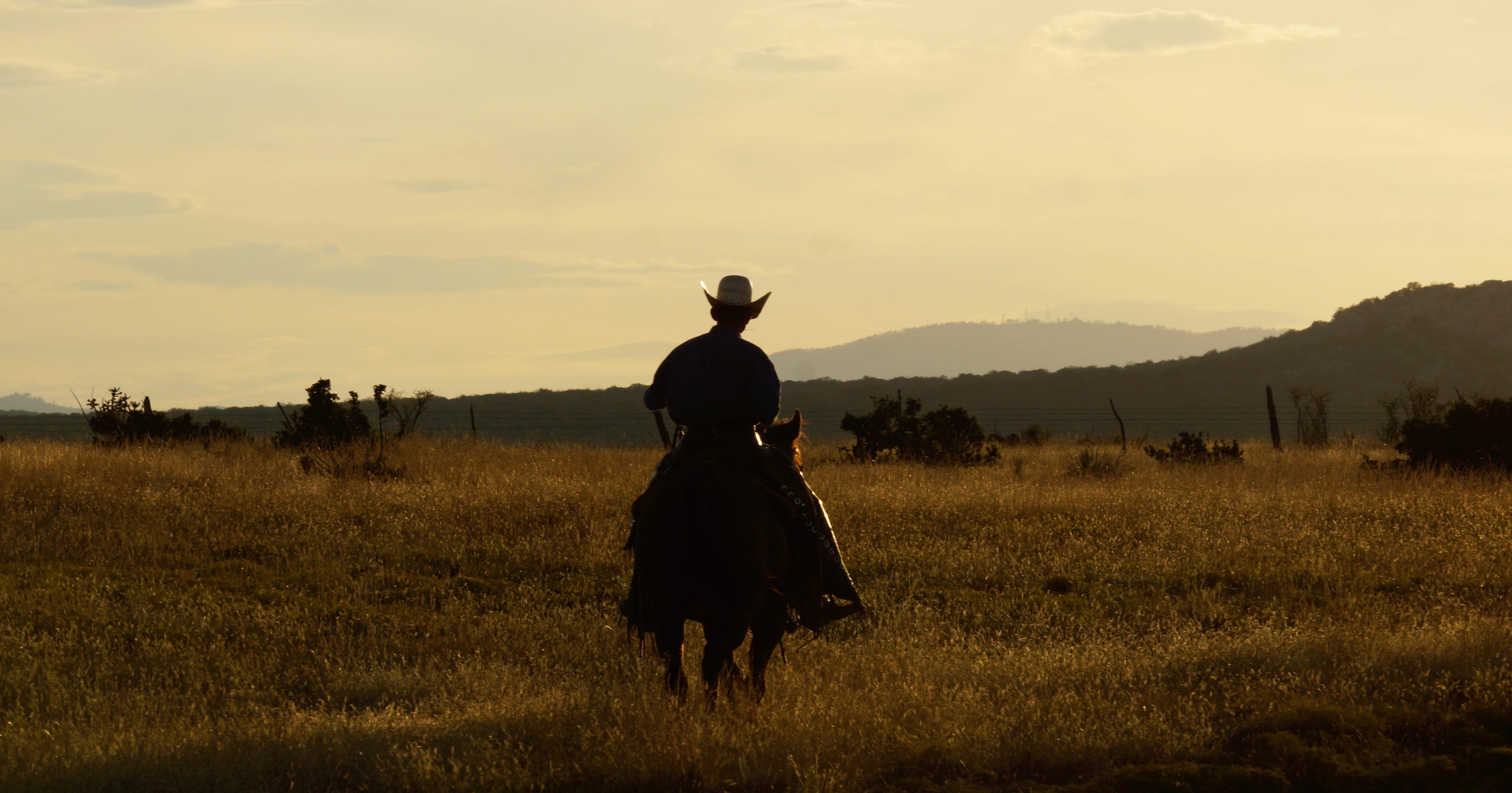 Southern Perspective: Florida's black cowboys deserve recognition