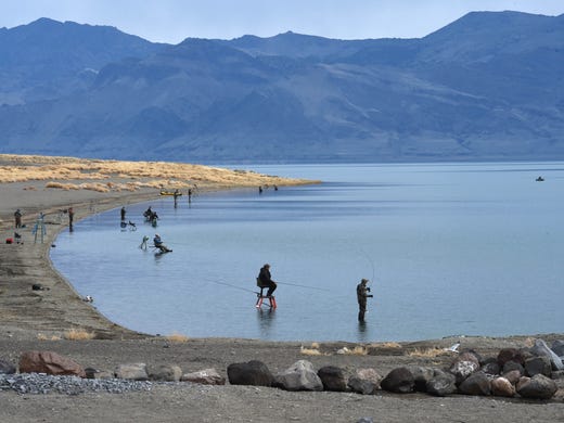 Photos: How's the water at Pyramid Lake in 2018?